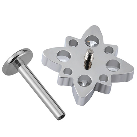 Titanium labret silver flower with iridescent zircons - TGW-106 ...